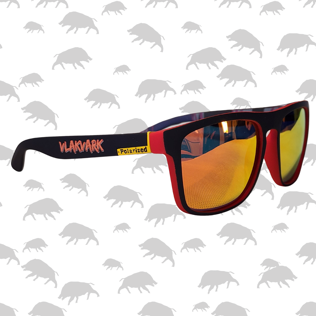 Bybehore – Vlakvark SA